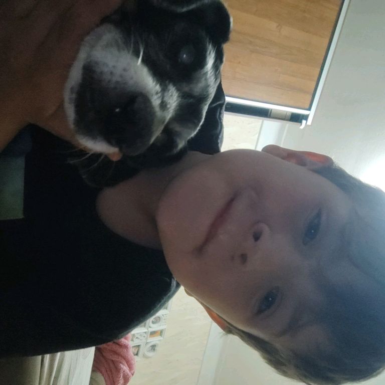 Иконка канала channel77579478