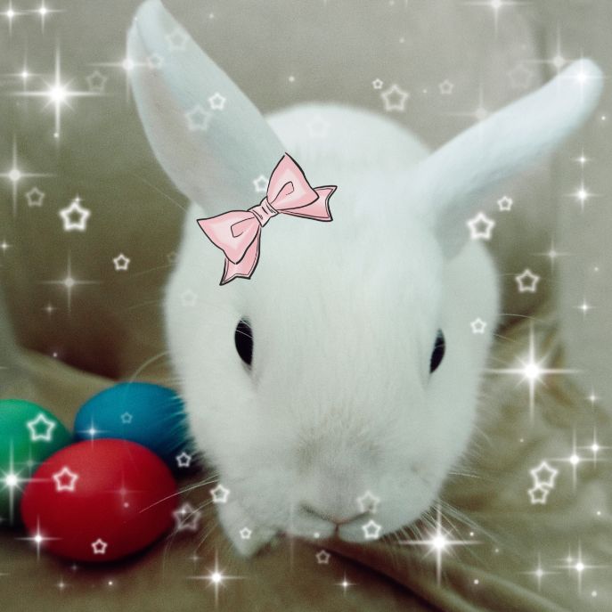 Иконка канала Весенняя🐰