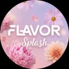 Иконка канала Flavor Splash