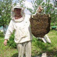 Иконка канала Пчеловод Николай Саханьков