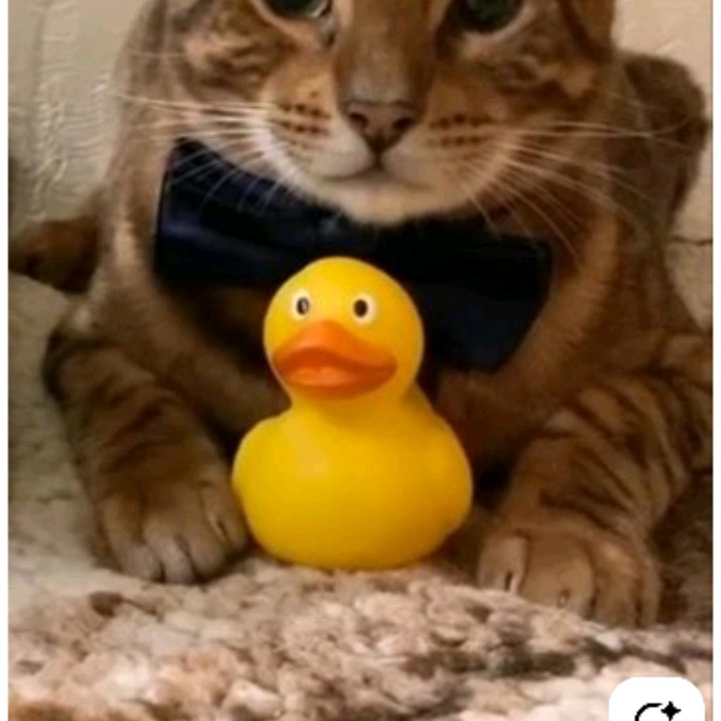 Иконка канала Апрельский Im_Valerius_DJ😺🤘