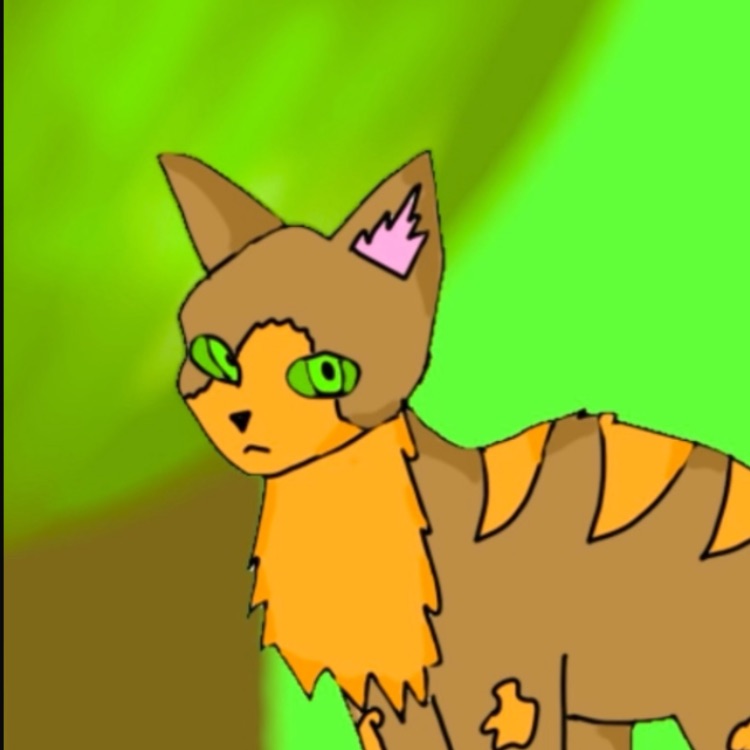 Иконка канала 🐱Pchelka_KB🐝