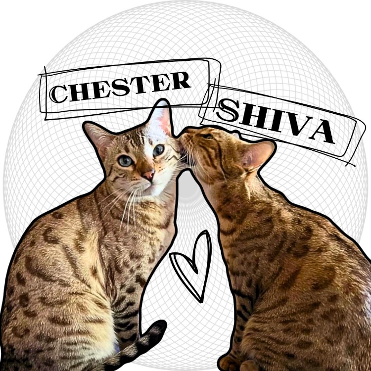 Иконка канала Chester_and_shiva