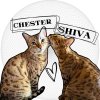 Иконка канала Chester_and_shiva