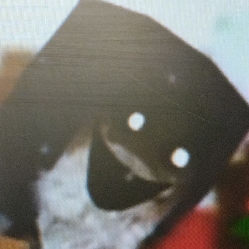 Иконка канала борис 61!!!!!!