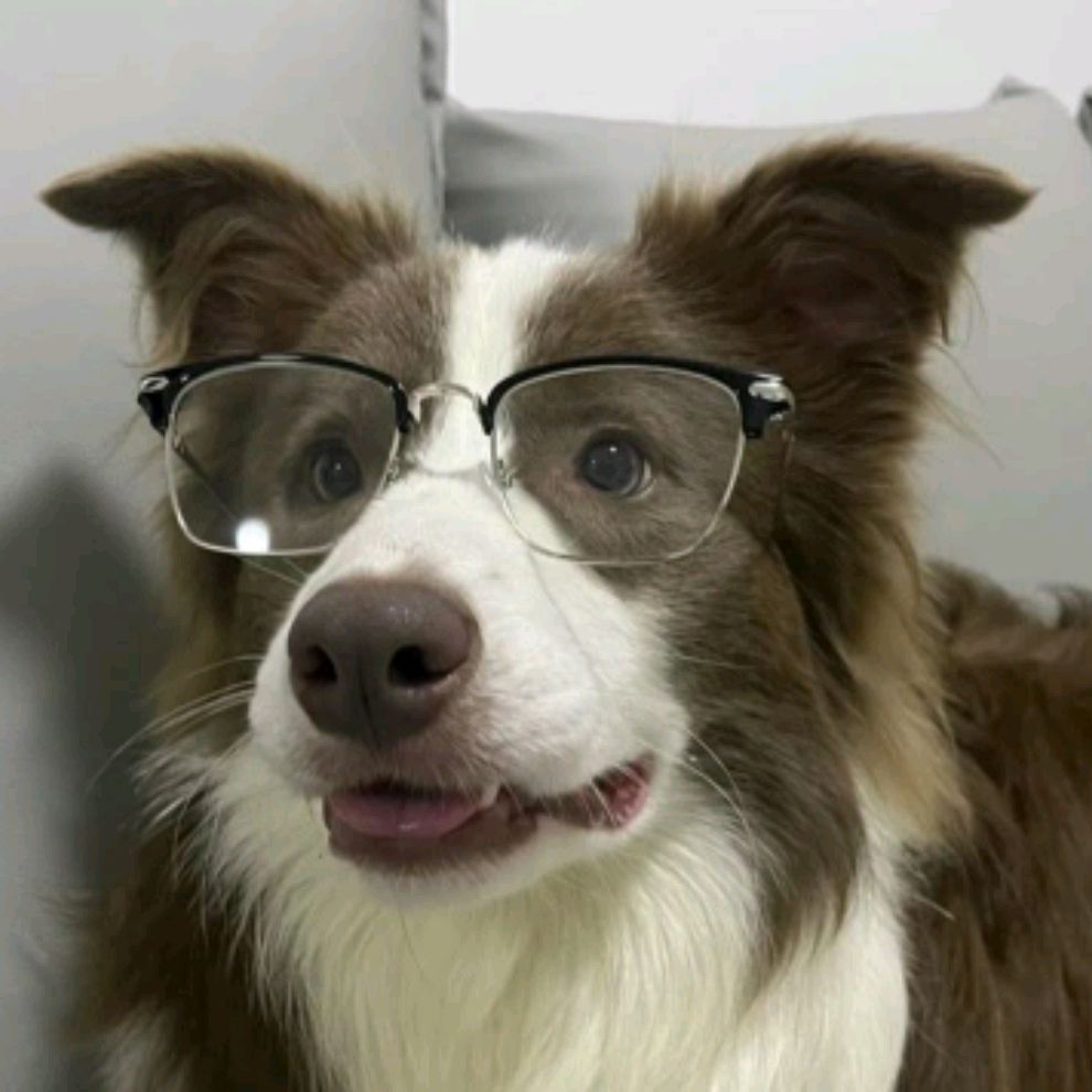 Иконка канала Barking.Dog