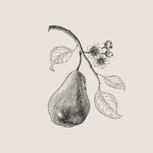 Иконка канала грушевый цвет