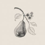 Иконка канала грушевый цвет