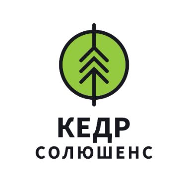 Иконка канала КЕДР Солюшенс: Платы и байты