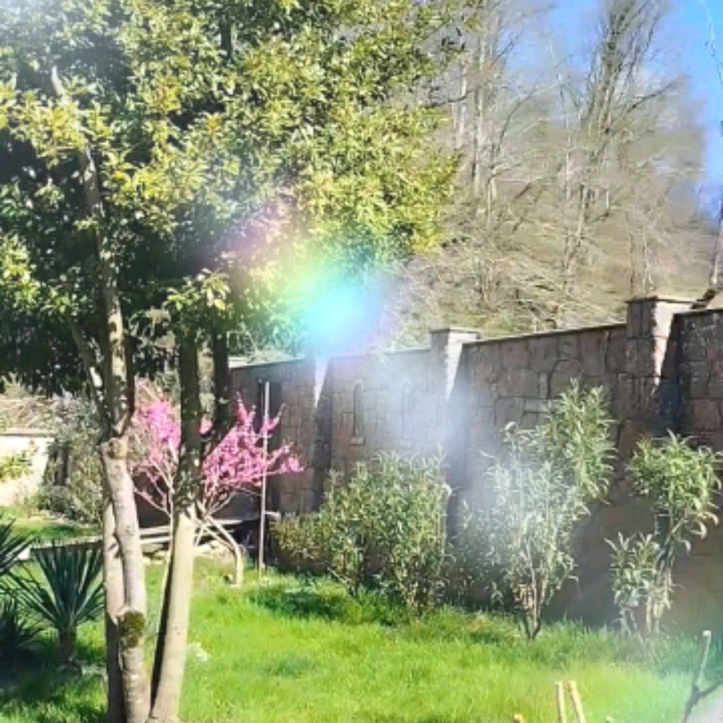 Иконка канала Рассвет Каждый День