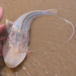 Иконка канала Alexey Chernyak - Life-on-earth.ru Channel