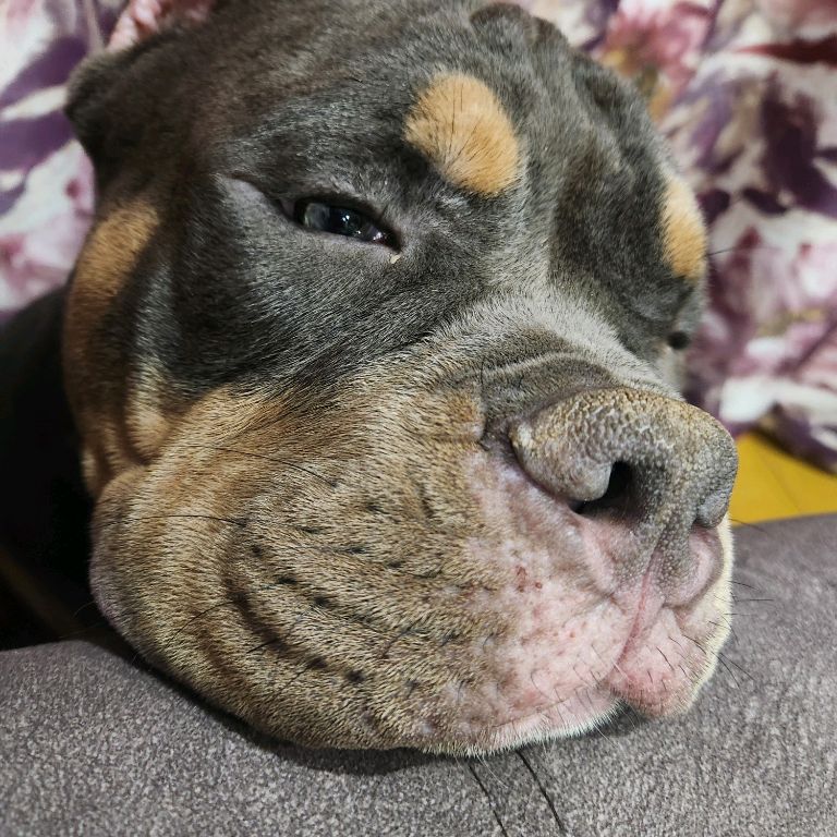 Иконка канала Барон