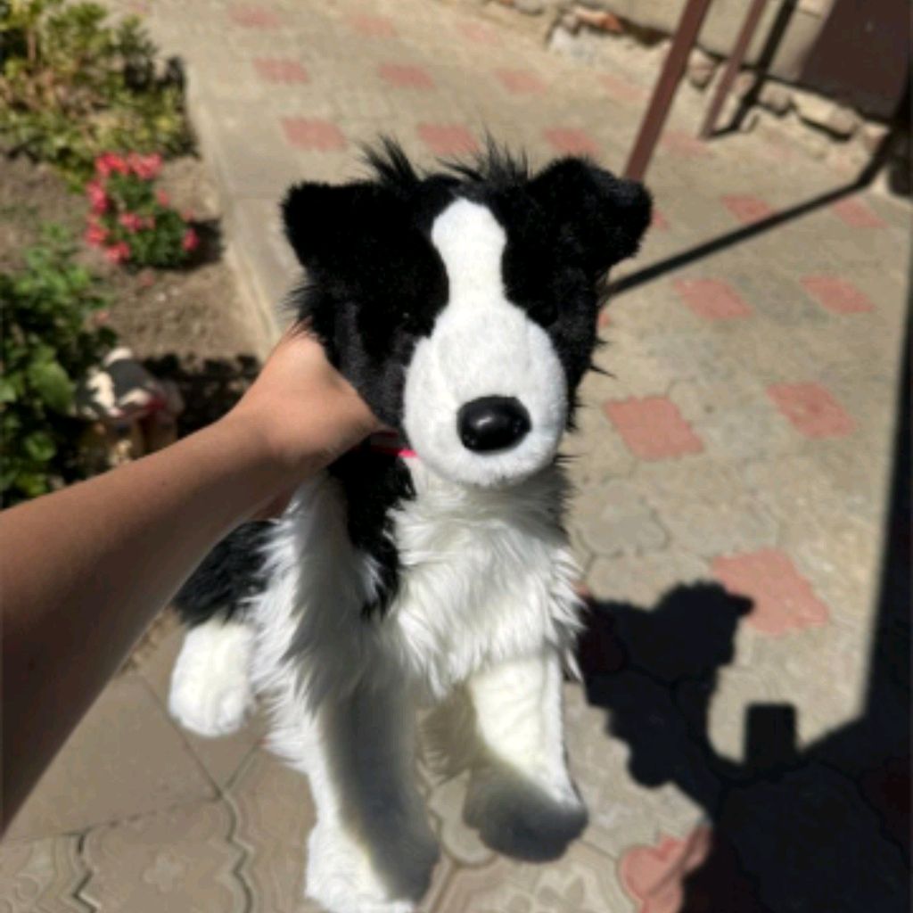 Иконка канала ♡~Doglife~PDB~Varya~♡