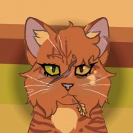 Иконка канала 🍁Red🍁 🐱LYNX🐱☄️✨WC✨