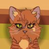 Иконка канала 🍁Red🍁 🐱LYNX🐱☄️✨WC✨