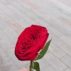 Иконка канала Asya Moscow