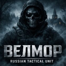 Иконка канала VELMOR