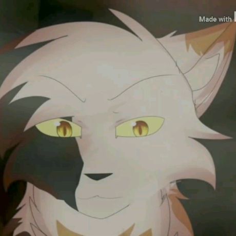 Иконка канала Кленовница