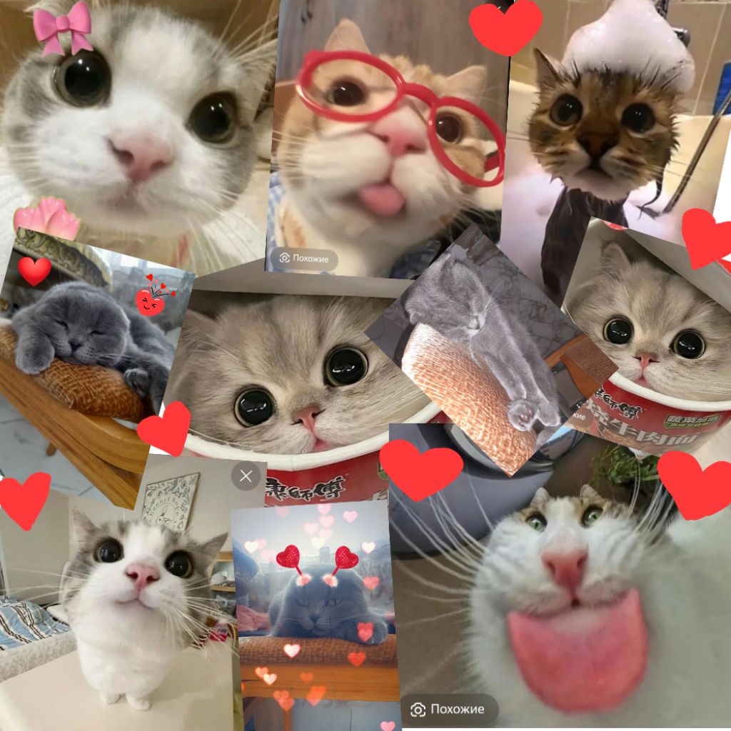 Иконка канала @😙Доминика#🙂😊