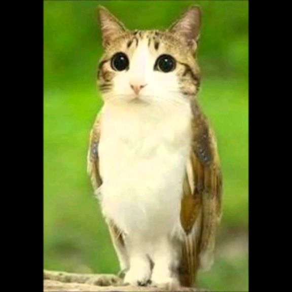 Иконка канала Клиртн