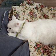 Иконка канала Nastya_Diy