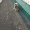Иконка канала Саша