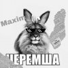 Иконка канала MaximCapy