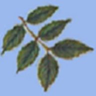 Иконка канала Светлана Орлова Английский для старшего возраста