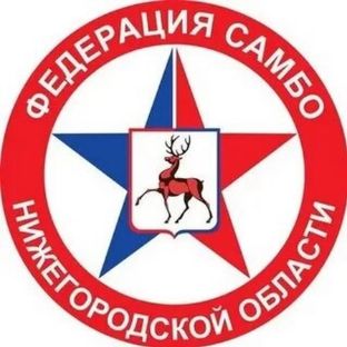 Иконка канала Федерация САМБО Нижегородской Области