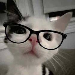 Иконка канала Big_bon4ik