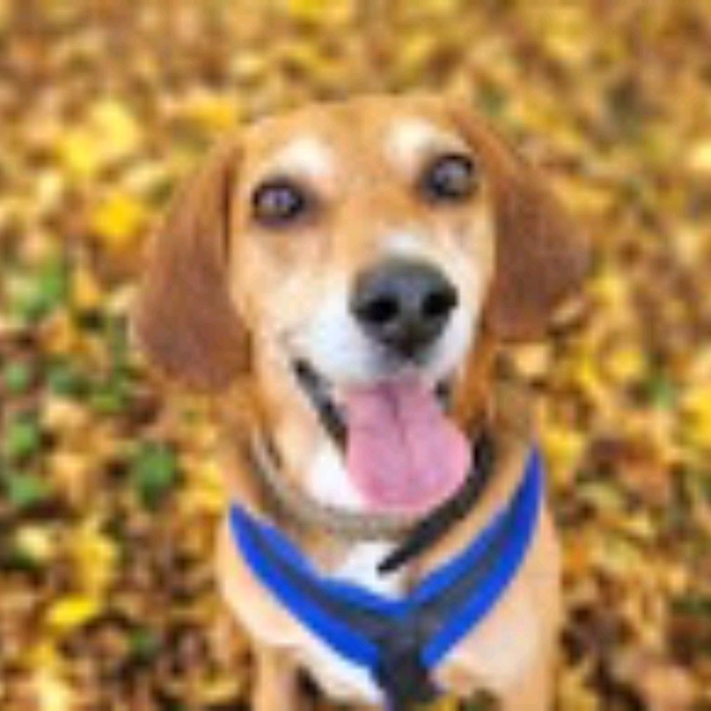 Иконка канала tfrancis