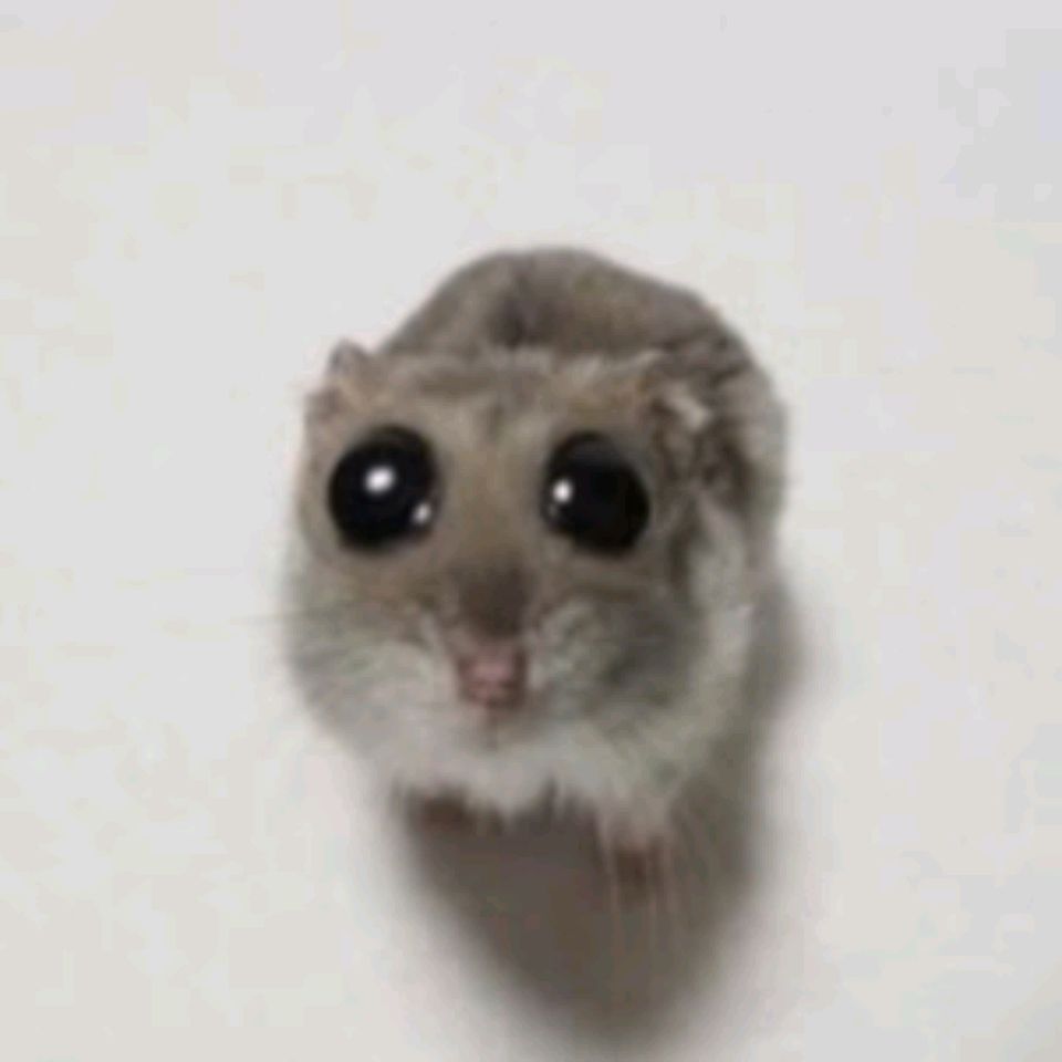 Иконка канала †★(SaRoK)★†