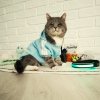 Иконка канала Дымочек ☁️🐅