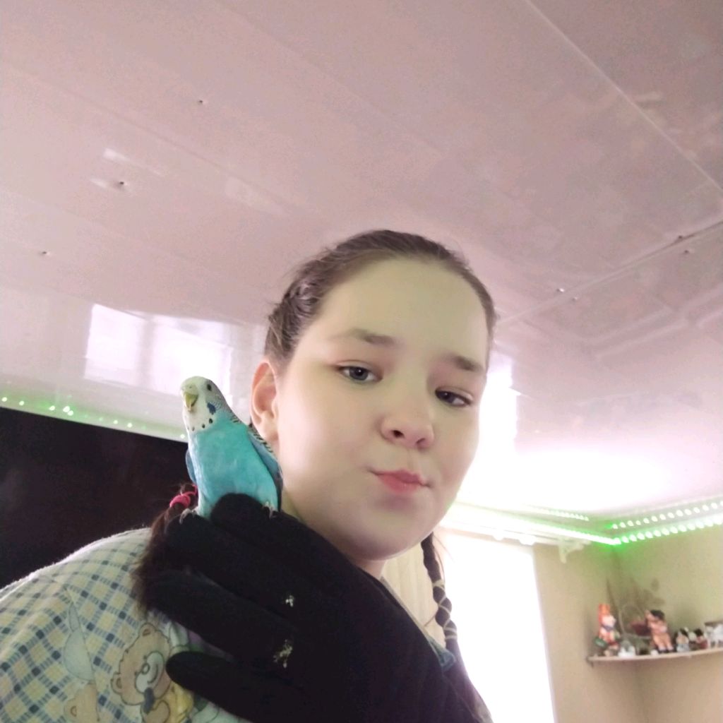 Иконка канала ani Hi❤❤️🩹))