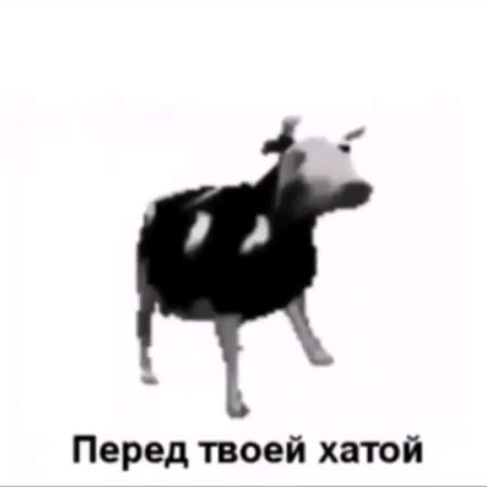 Иконка канала 🇵🇱🇵🇱🇵🇱🇵🇱Польская Корова🇵🇱🇵🇱🇵🇱🇵🇱