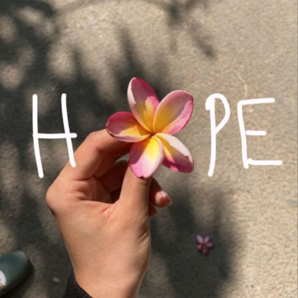 Иконка канала Hope_handmade_toys