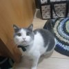 Иконка канала channel ПБ&ПРО