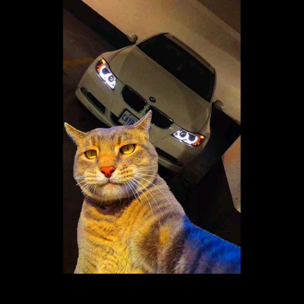 Иконка канала СузукиАдресonelav