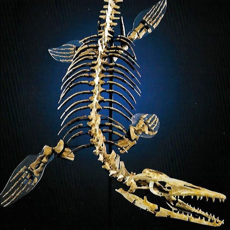 Иконка канала Мир юрского периода 🔥🔥🔥