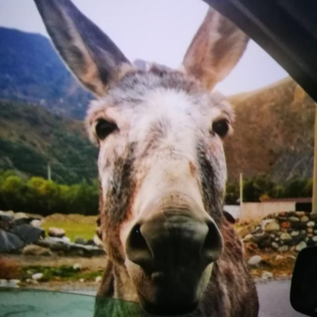 Иконка канала Maks