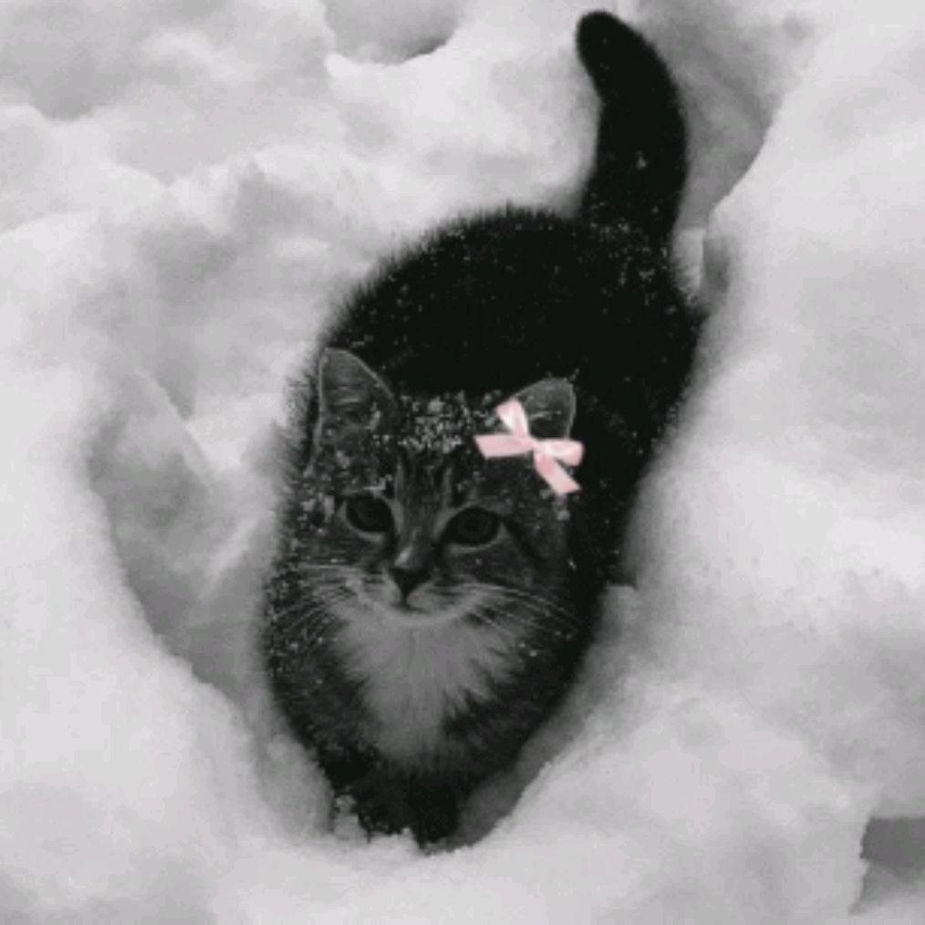 Иконка канала °CuteNastia°