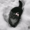 Иконка канала °CuteNastia°