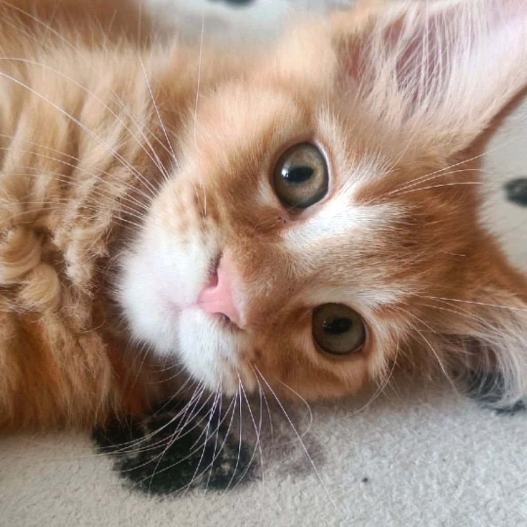 Иконка канала Нурик67k