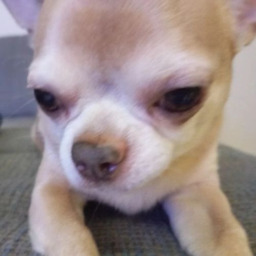 Иконка канала Данюха