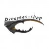 Иконка канала Dynastes-shop