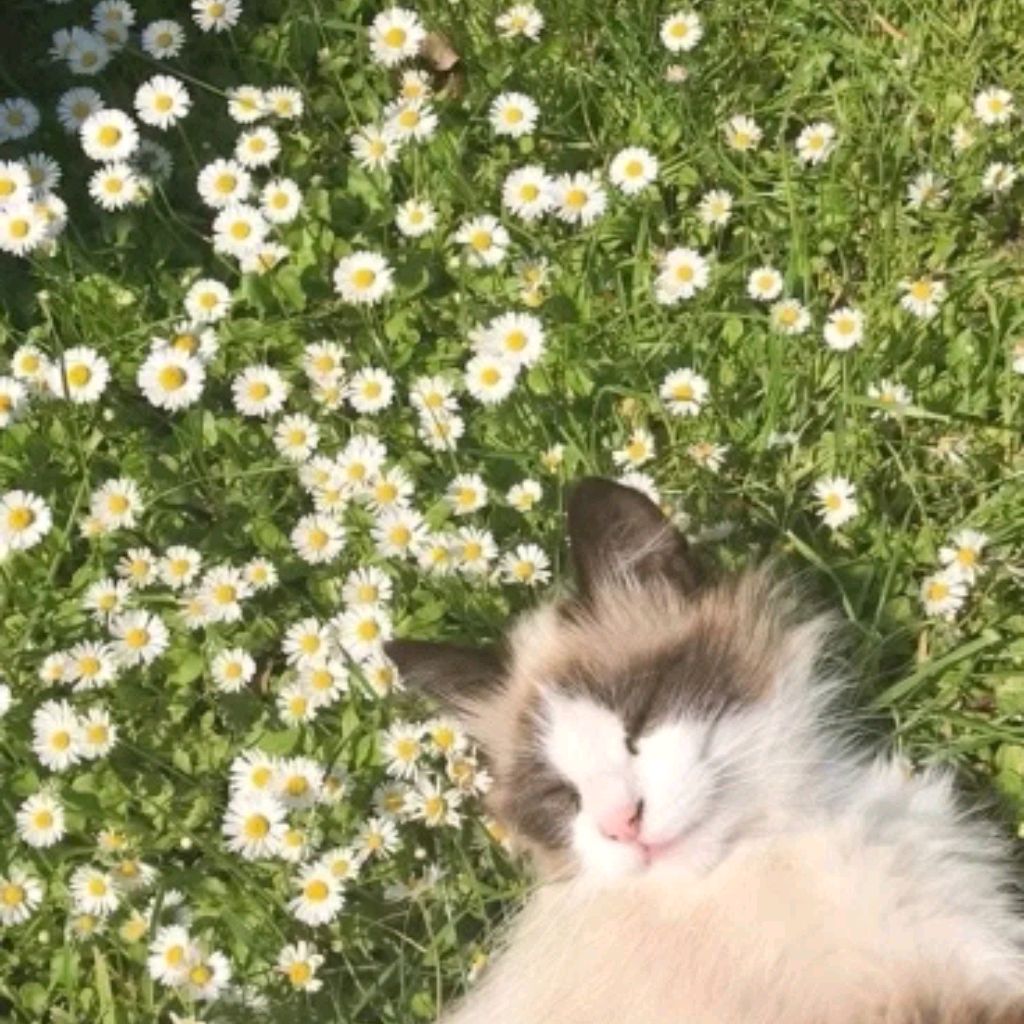 Иконка канала moon_girl🌑🎧