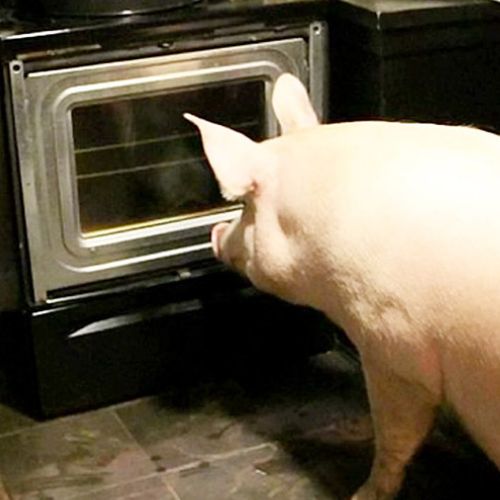 Иконка канала Кайфолом