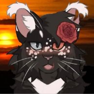 Иконка канала 🐾Rasvetnaya_Mgla🐾_🌅