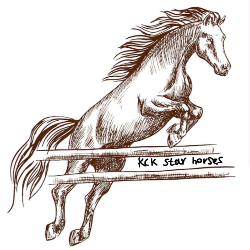 Иконка канала КСК «🍀🐎Star horses🐎🍀»⚡☄️💥