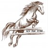 Иконка канала КСК «🍀🐎Star horses🐎🍀»⚡☄️💥